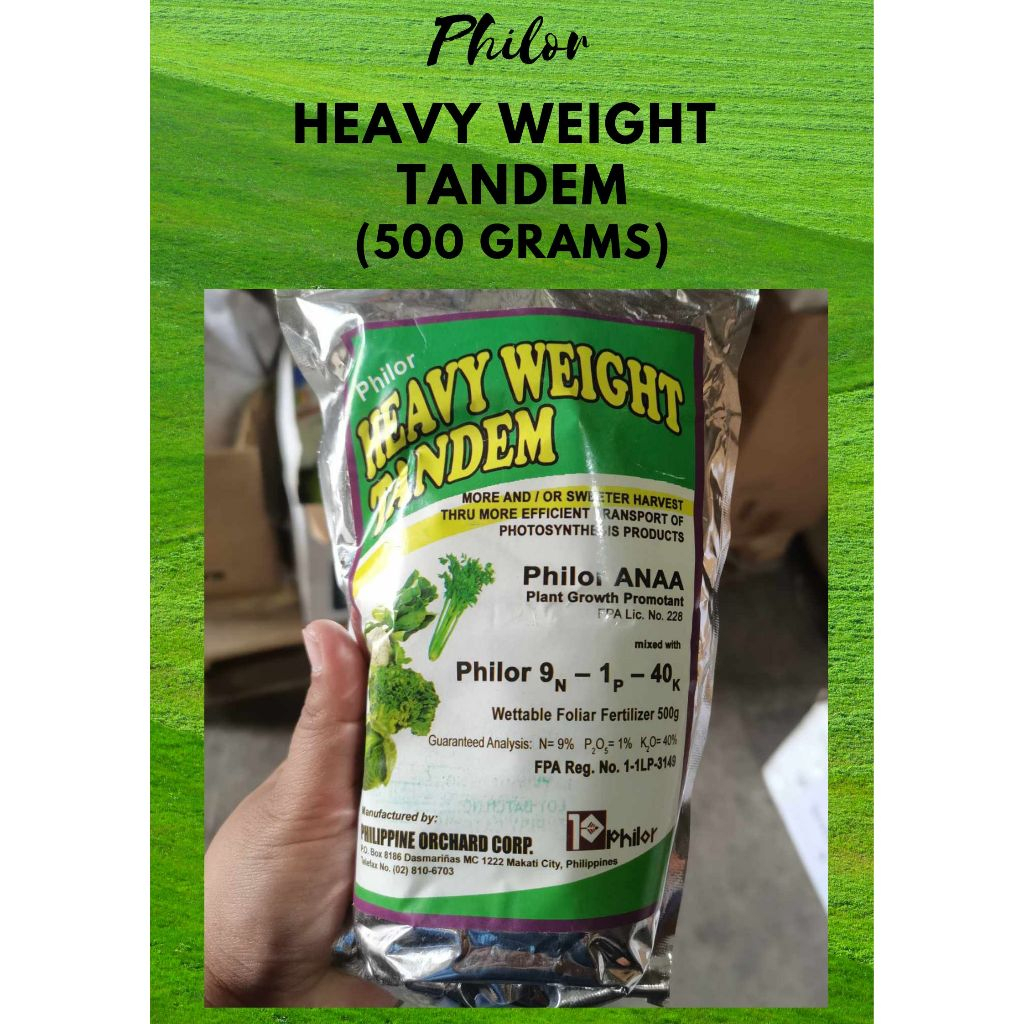Heavy Weight Tandem 500g | Shopee Philippines