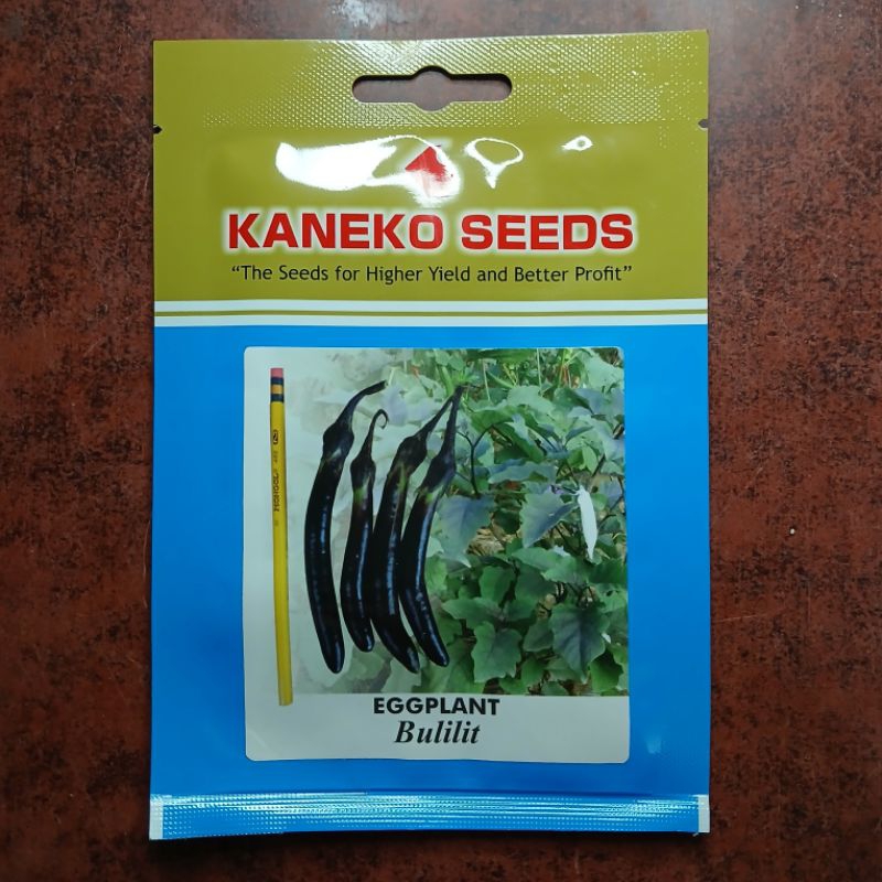 BULILIT (3 GRAMS) EGGPLANT / TALONG SEEDS BY KANEKO SEEDS | Shopee ...