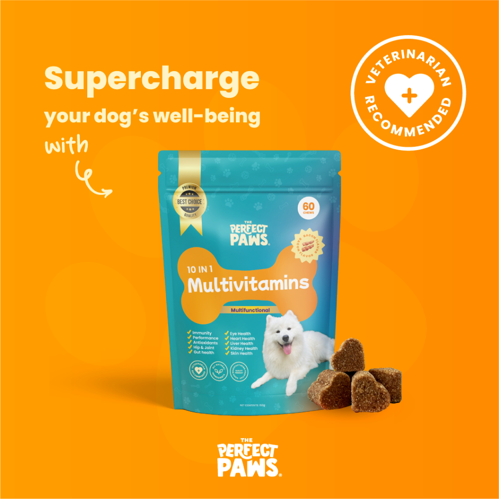 The Perfect Paws 60 Chews 10-in-1 Multivitamin Comprehensive support ...