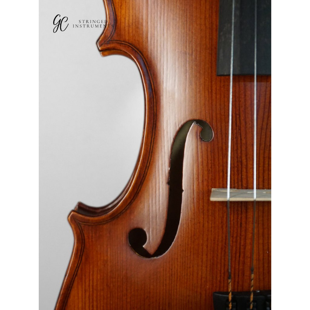 GC Model V200 Beginner Level 4/4 Violin in Professional Set-Up with ...
