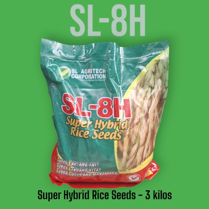 SL-8H Super Hybrid Rice Seeds 3 kls by SL Agritech Corp. | Shopee ...