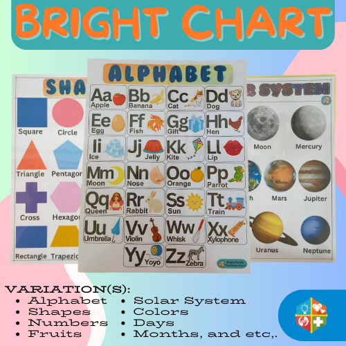 BRIGHT Educational Chart for Kids - LAMINATED (Size: 8.5 x 11) | Shopee ...