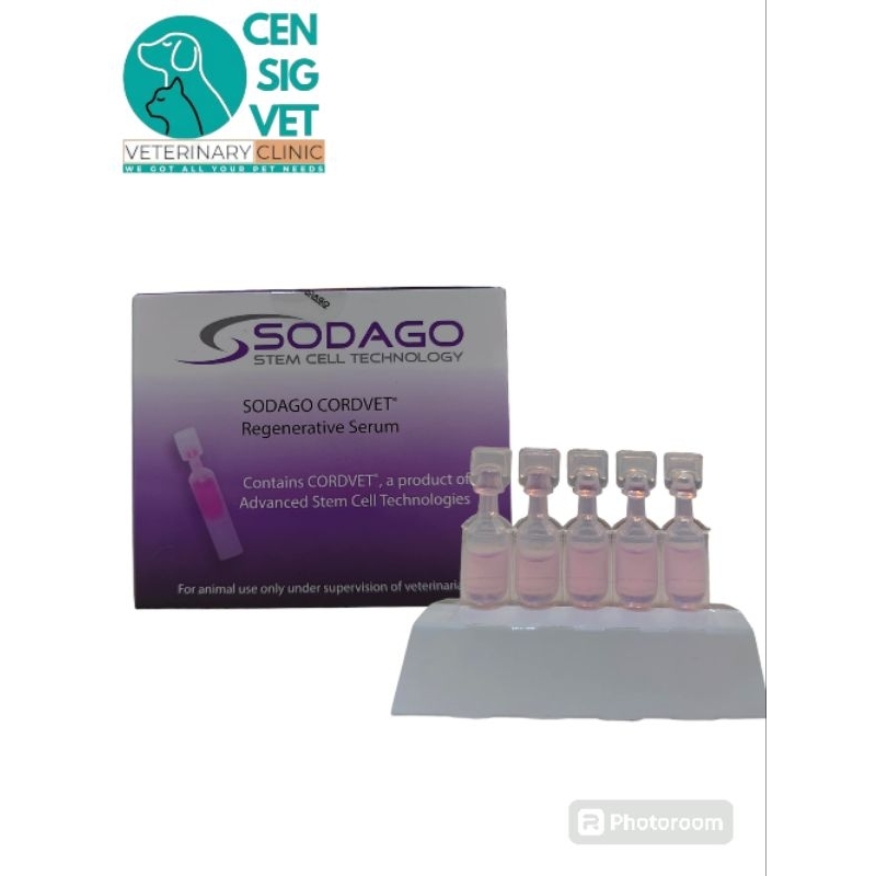 Sodago Stem Cell (SODAGO CORDVET) Eyedrops for DOGS/CATS 1ML (1 PIECE ...