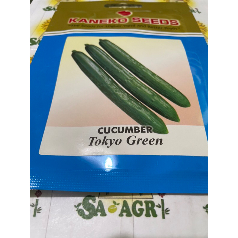 TOKYO GREEN JAPANESE CUCUMBER SEEDS (1g) by Kaneko | Shopee Philippines