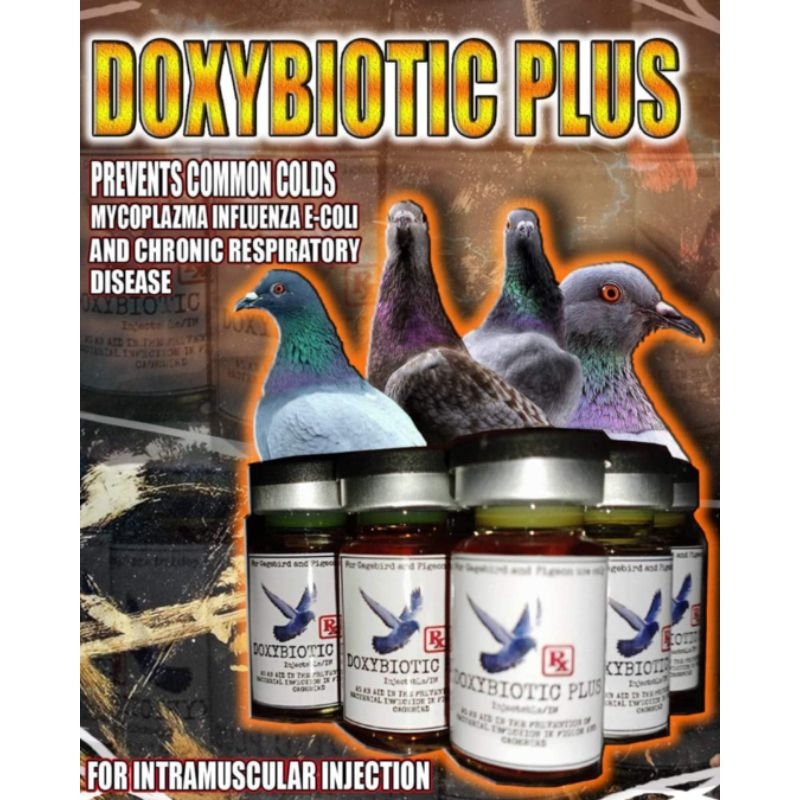 doxy plus para sa kalapati racing pigeons(one eye cold halak sipon ...