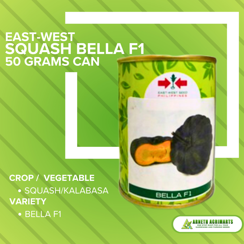 BELLA F1 SQUASH SEEDS BY EASTWEST 50grams CAN | Shopee Philippines