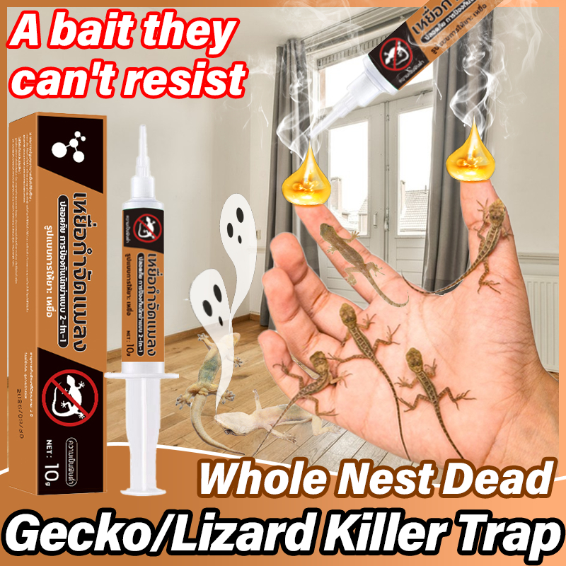Lizard killer Lizard trap 100% effective Bait Lizard/geckos love to eat ...