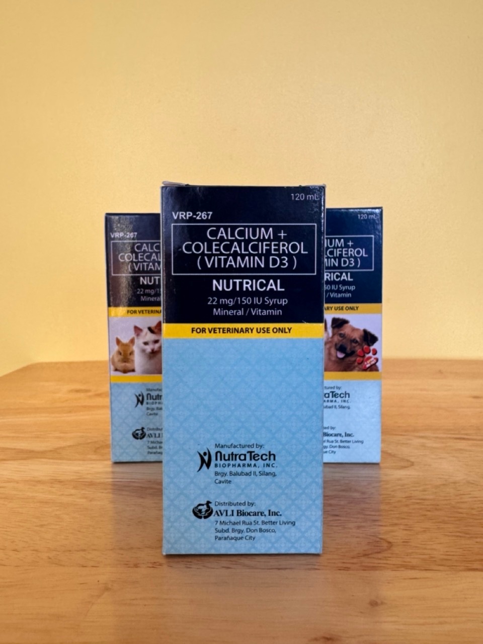 Nutrical Calcium Supplement in Syrup 120 ml | Shopee Philippines