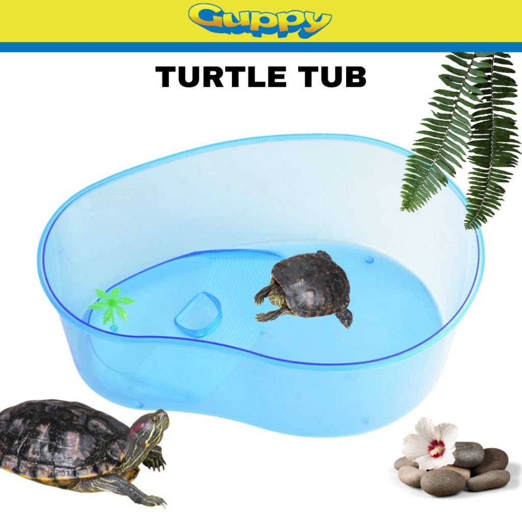 Plastic Reptile Turtle Tub Oval Tank Rearing Hatchling Turtles | Shopee ...