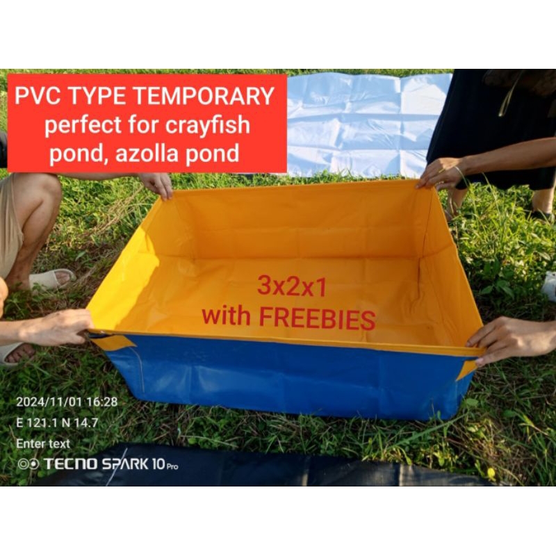 AZOLLA TRAPOND CRAY FISH POND AZOLLA BED LONA TRAPAL TOLDA TEMPORARY ...