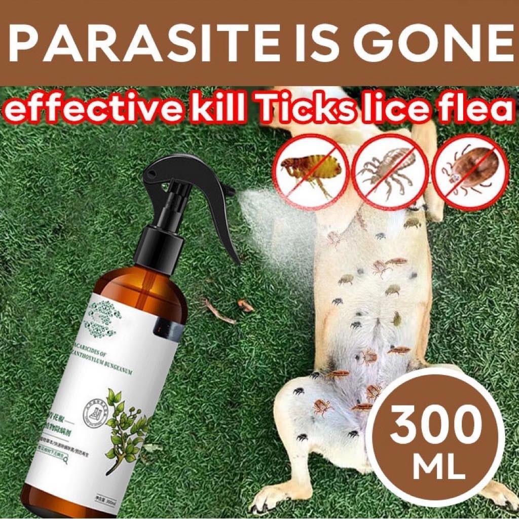 Tick and Flea Spray 300ML Anti Tick Garapata Flea Pulgas & Lice Kuto ...