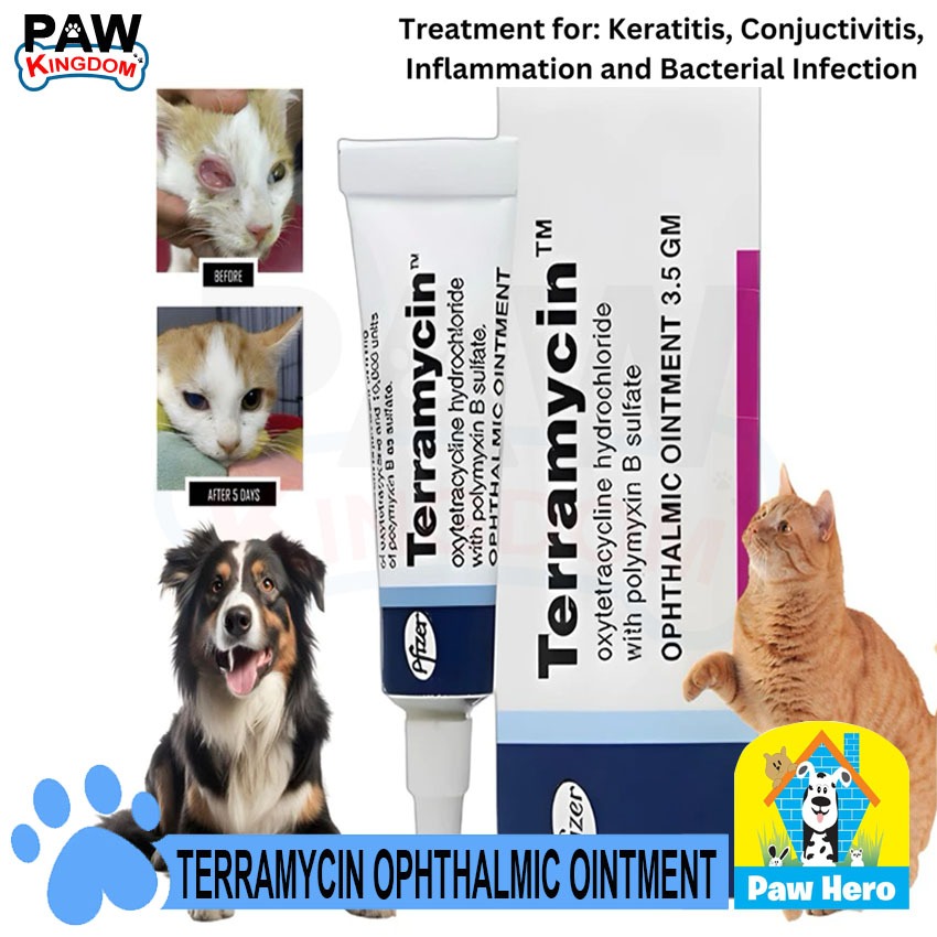 TERRAMYCIN 3.5gm Ophthalmic Ointment for Dog Cat Conjunctiva for Pets ...