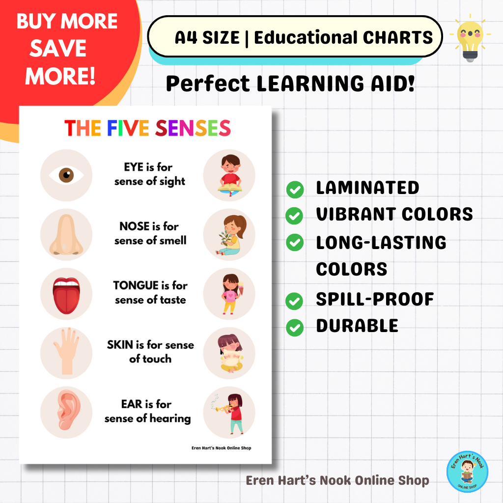 FIVE BODY SENSES LAMINATED CHART | Shopee Philippines FIVE BODY SENSES LAMINATED CHART | Shopee Philippines