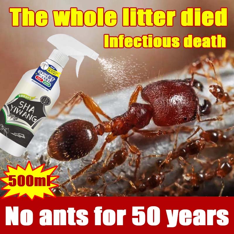 Infected whole nest died ant killer ant spray killer odorless ant ...