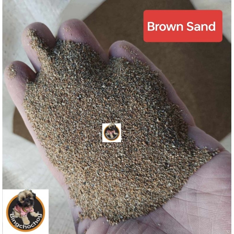 Brown Sand (sold per kilo) | Shopee Philippines