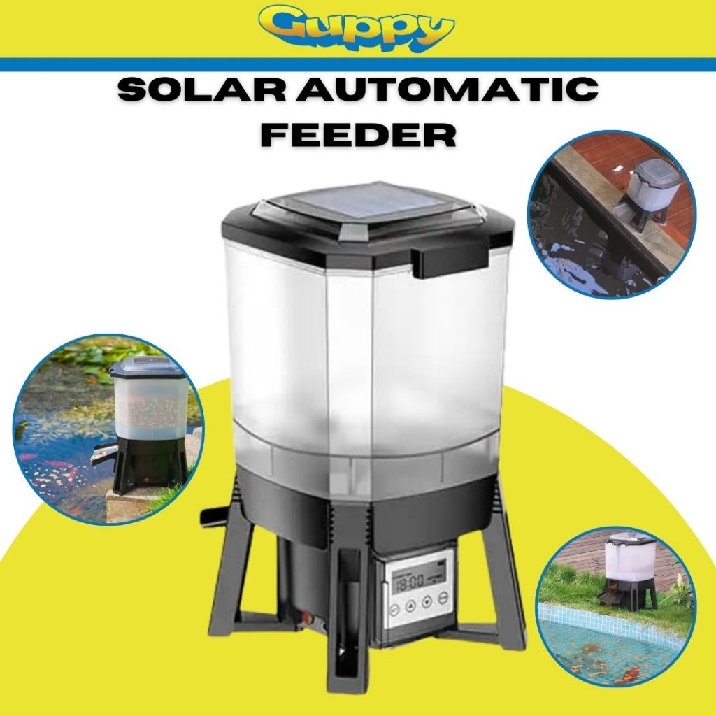 Solar-Powered Digital Automatic Feeder 6 Liter Capacity Outdoors CFF ...