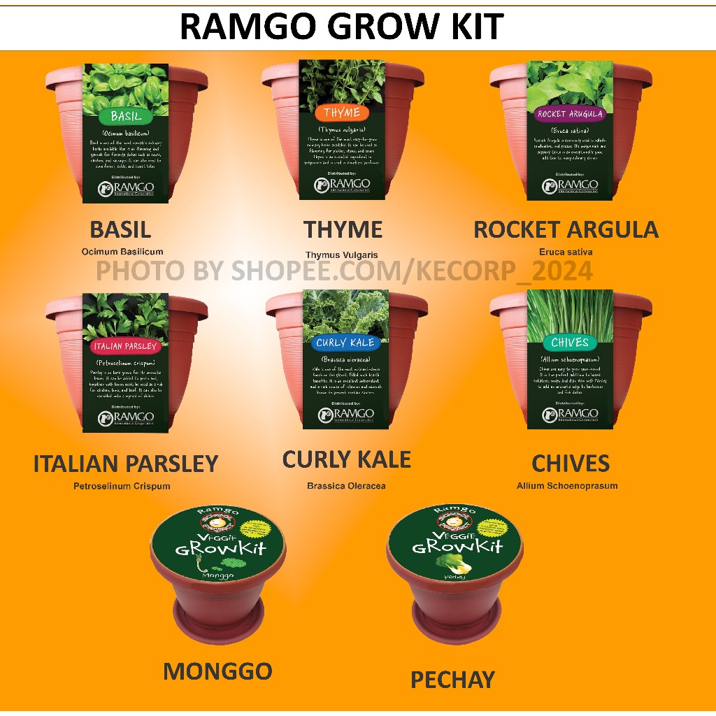 Ramgo Grow Kit - Basil Rocket Aragula Italian Parsley_kc241207 | Shopee ...