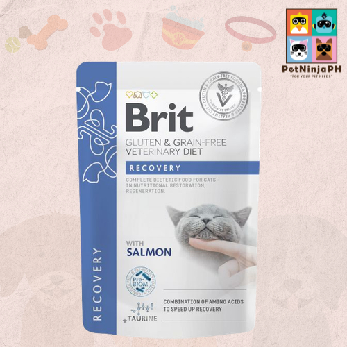 Brit Veterinary Diet Cat Pouch Recovery 85 g | Shopee Philippines