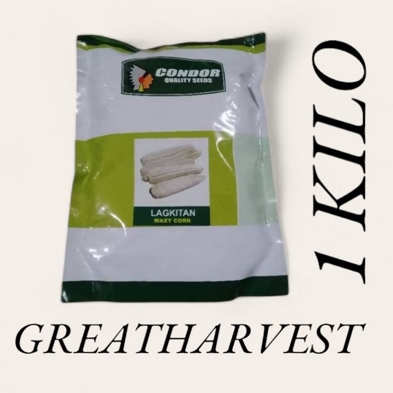 LAGKITAN OPV WAXY CORN SEEDS(1 KILO)BY CONDOR SEEDS | Shopee Philippines