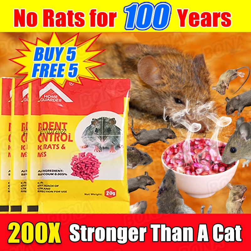 200x Stronger Than A Cat Powerful Mouse Poison Bait 10PCS Rat Food Rat ...