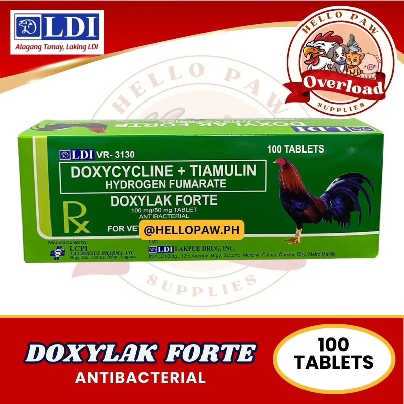 Doxylak Forte 100 Tablets Antibacterial (ACTUAL PHOTO) | Shopee Philippines Doxylak Forte 100 Tablets Antibacterial (ACTUAL PHOTO) | Shopee Philippines