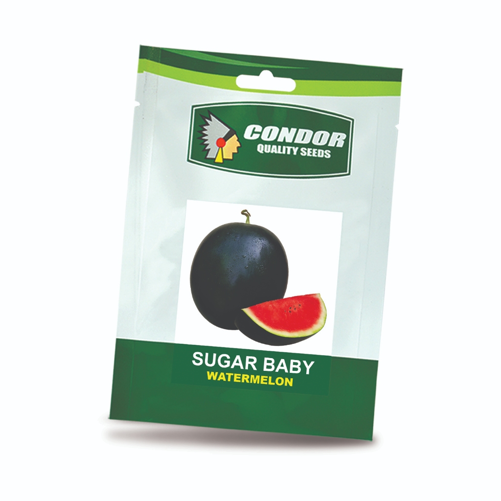 SUGAR BABY (3 GRAMS) WATERMELON CONDOR QUALITY SEEDS | Shopee Philippines