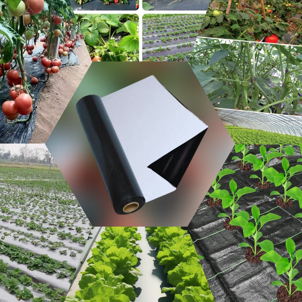 PLASTIC MULCH FILM 1.2mX400m BLACKSILVER MULCHING FILM FOR AGRICULTURAL ...