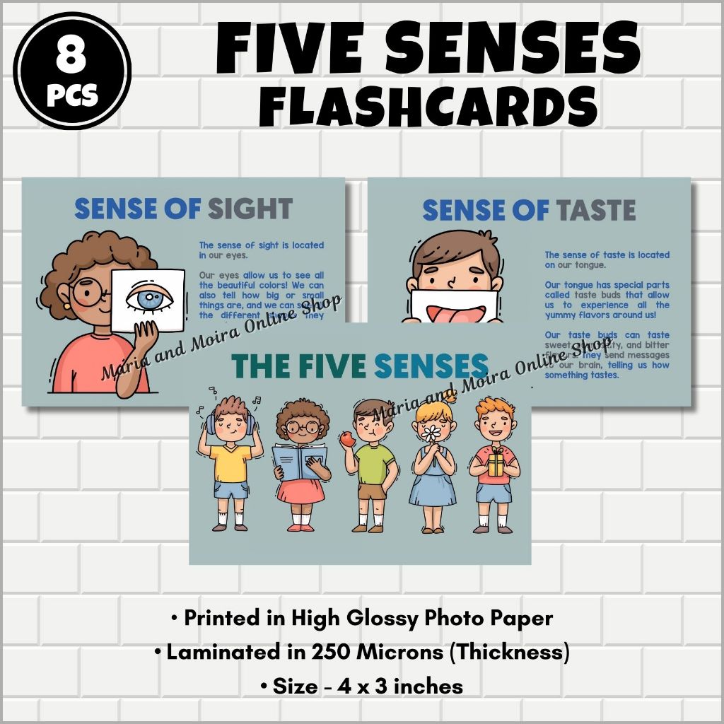THE FIVE SENSES FLASHCARDS FOR KIDS | Laminated Educational Five Senses ...