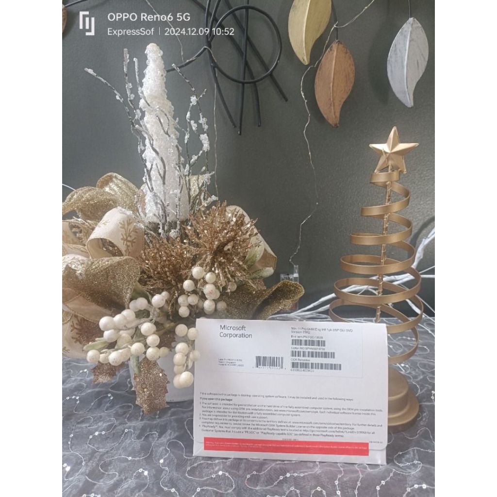 Windows 11 Professional 64 Bit Eng 1pk DSP OEI DVD Version 32H2 the newest Version | Shopee ...