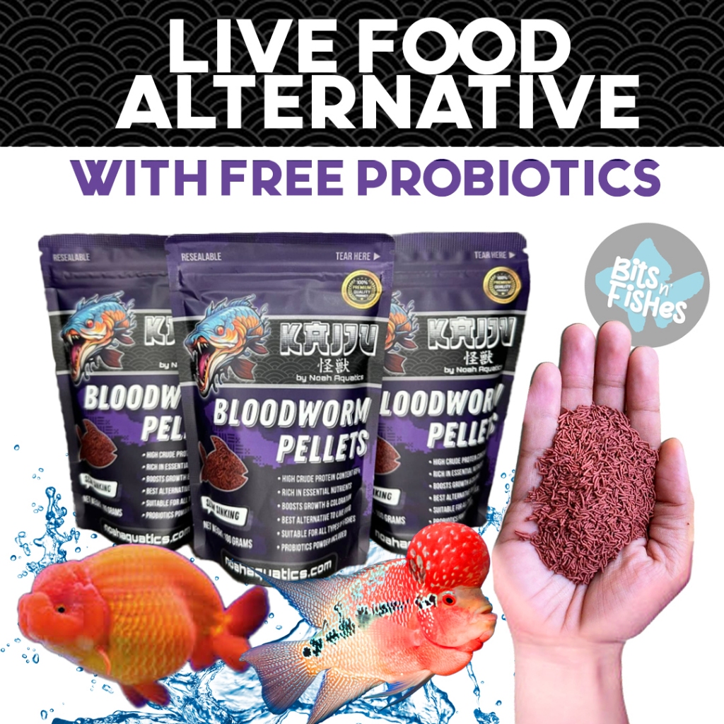 KAIJU Bloodworm Pellets with Probiotics 100g | High-Protein Slow ...
