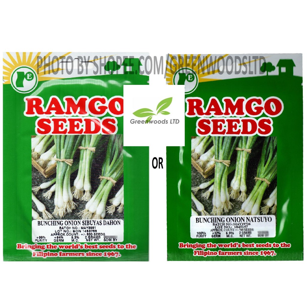 Ramgo RPD BUNCHING ONION SIBUYAS DAHON 2 g s3 GW_S3 | Shopee Philippines