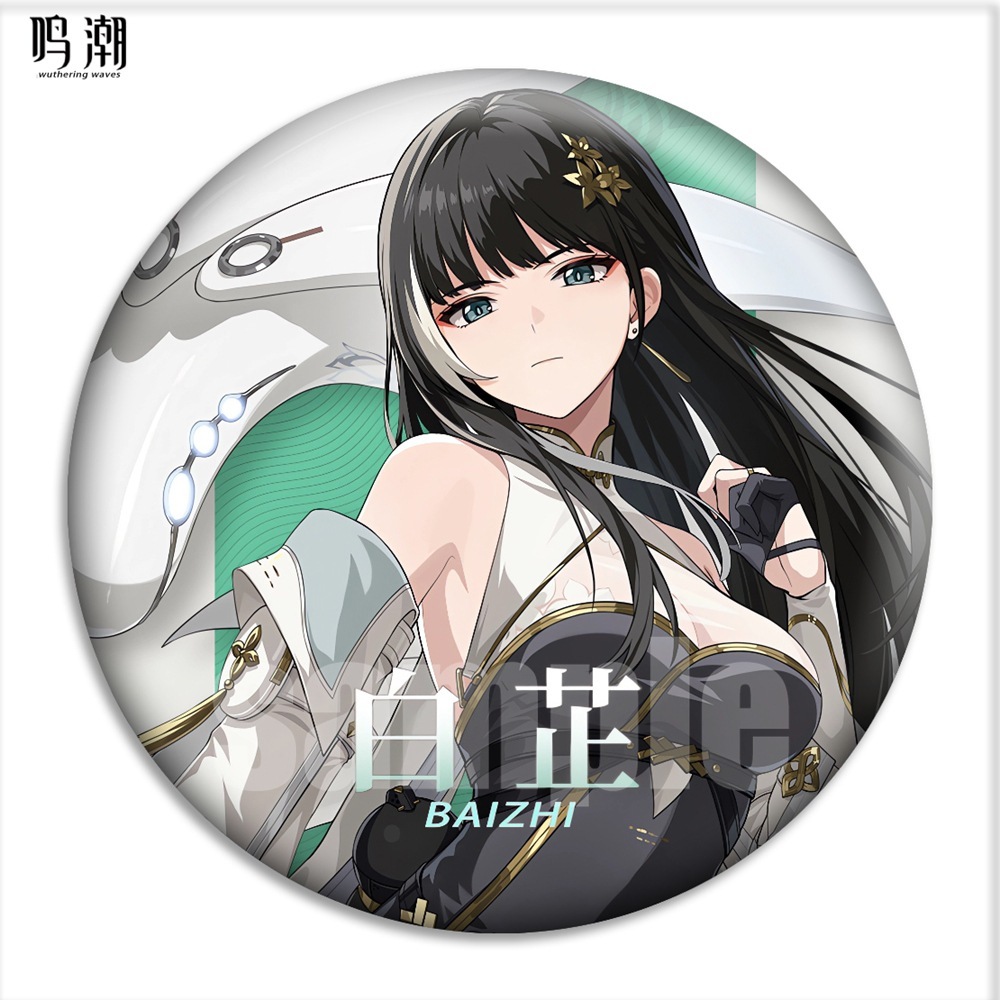 GM Wuthering Waves Wuwa Character 5.8mm Accessories Pins | Shopee ...