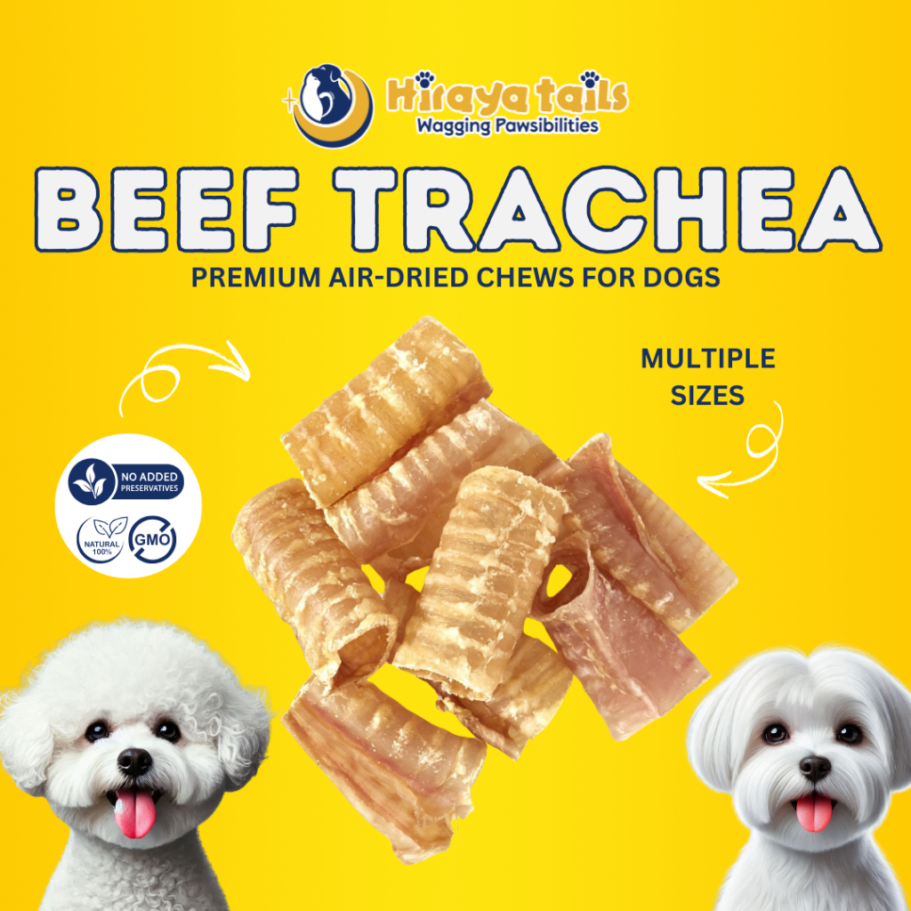 Dehydrated BEEF TRACHEA All-Natural Dog Chews | Shopee Philippines
