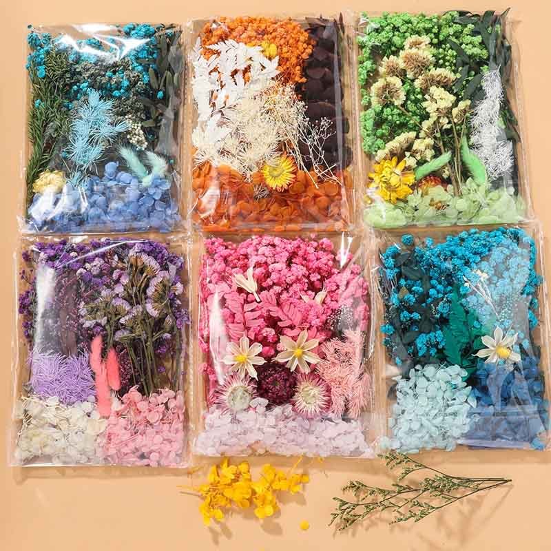 Natural Plants Dried Specimen Flowers Preserved Materials Kit DIY ...