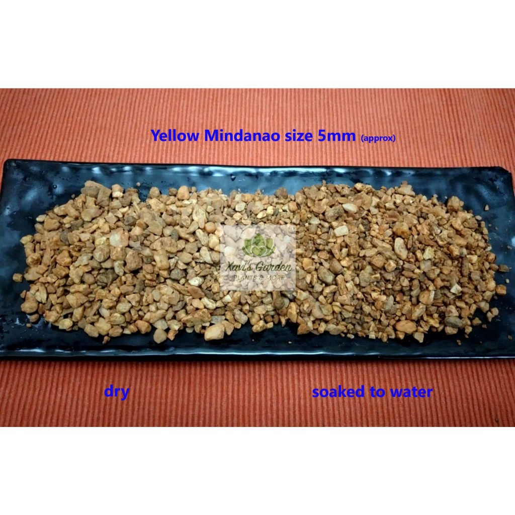 1 kilo Sand Pebbles for Plants, Aquarium, Floor Carpet Washout, Garden ...