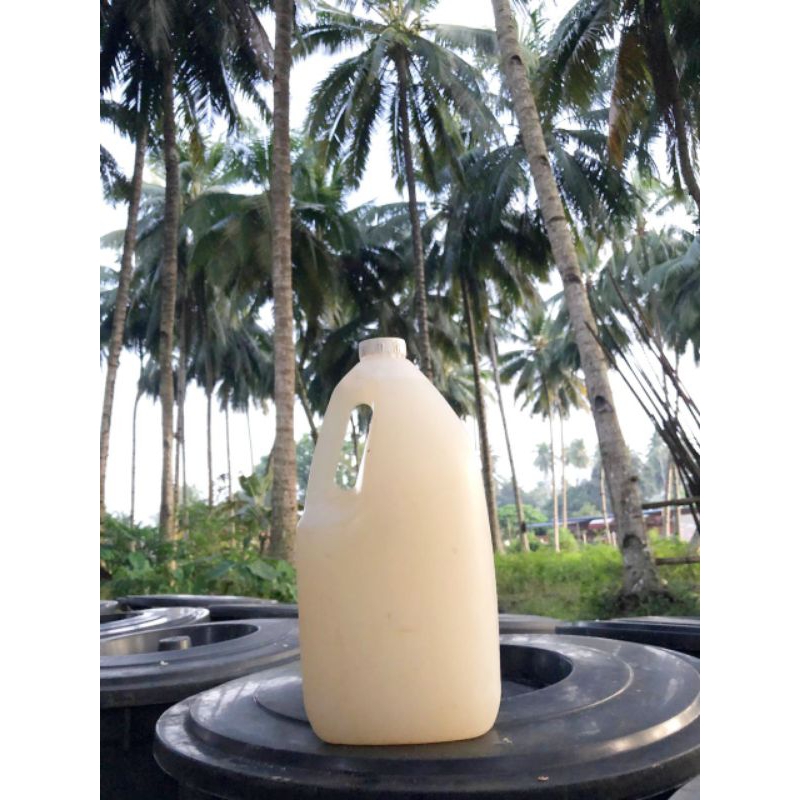 1GALLON JED'S SUKANG TUBA 100% PURE ORGANIC & (375mL GlASS BOTTLE ...