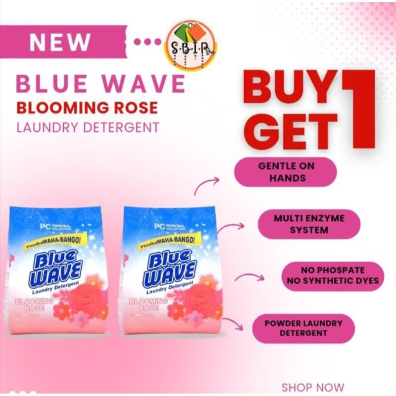 BUY 1 TAKE 1 BLUE WAVE BLOOMING ROSE POWDER LAUNDRY DETERGENT 800G ...