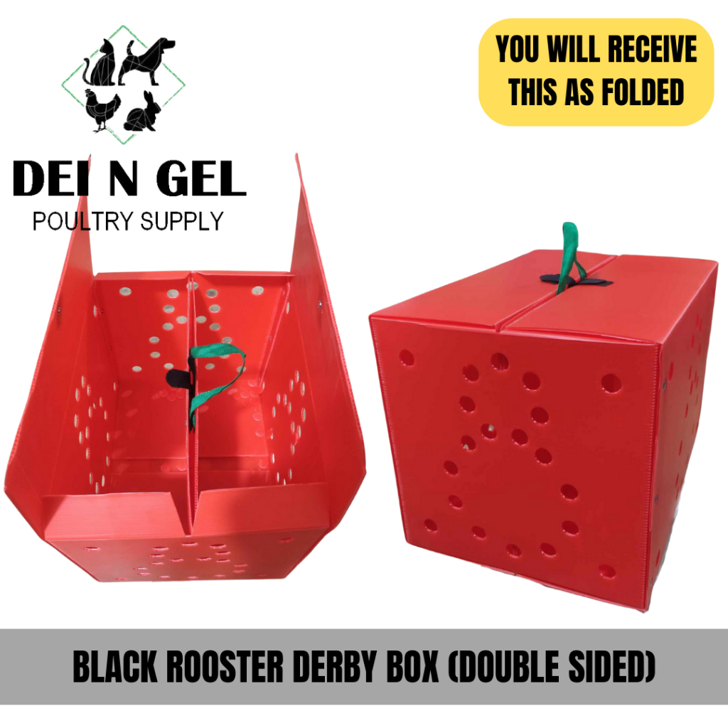 BLACK ROOSTER DERBY BOX DOUBLE HIGH QUALITY PLASTIC (COLOR MAY DEPEND ...