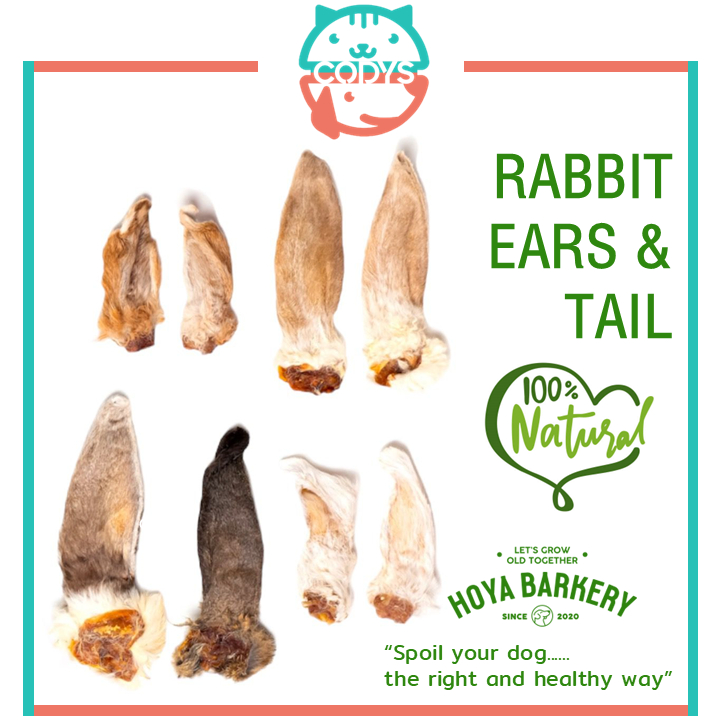 HOYA BARKERY Rabbit Ears and Rabbit Tail All Natural Dog Treats ...