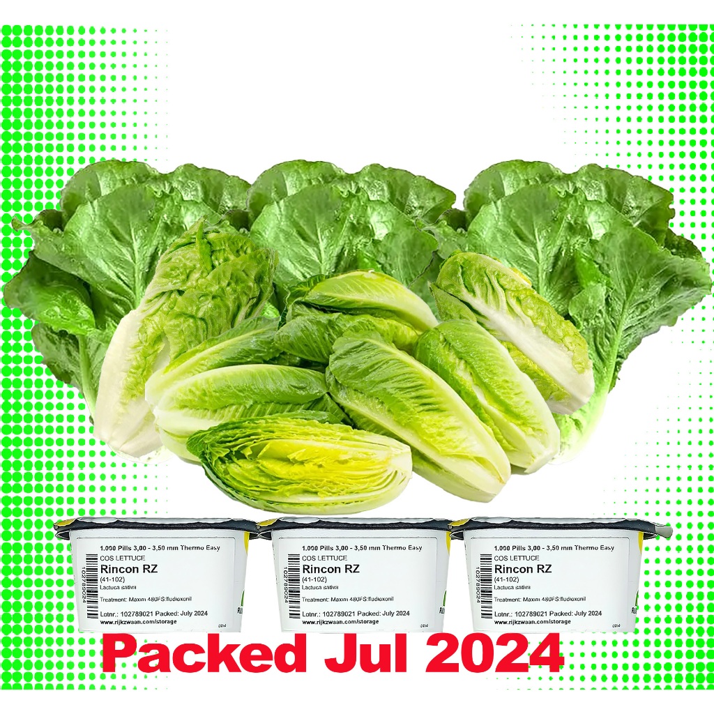 RINCON RZ (41-102) MINI ROMAINE Lettuce 1,000 pills (Original Pack ...