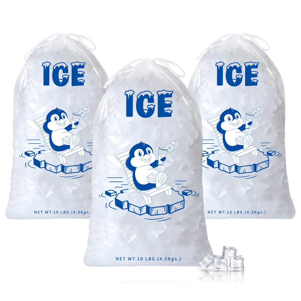 10PCS Disposable Drawstring Ice Bags – Convenient & Leakproof Ice ...
