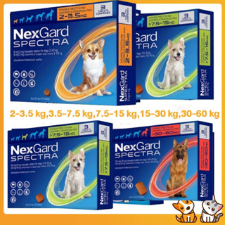 NexGard Spectra Deworming Medicine Repel Fleas Ticks and Roundworms ...