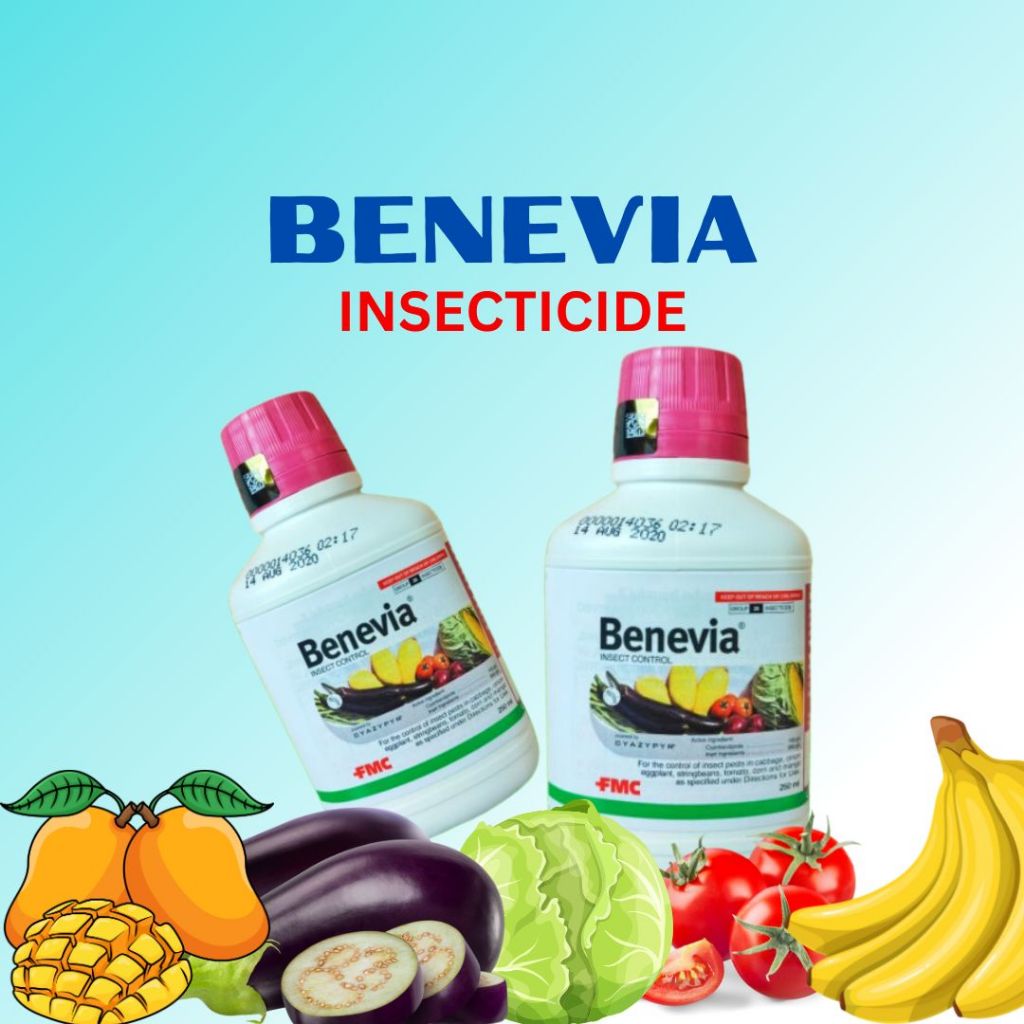 BENEVIA - INSECTICIDE 250ML | Shopee Philippines