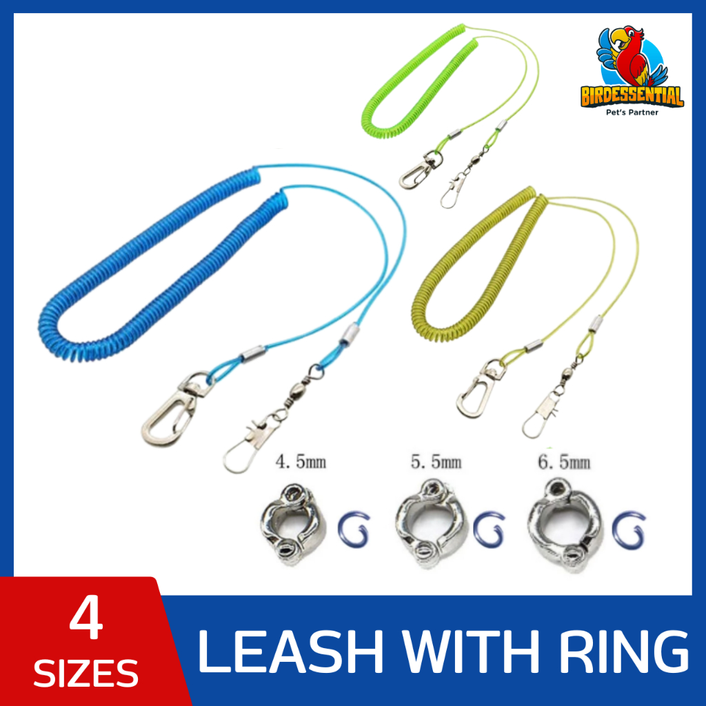 Training Leash with Training Ring for Birds african lovebirds ...