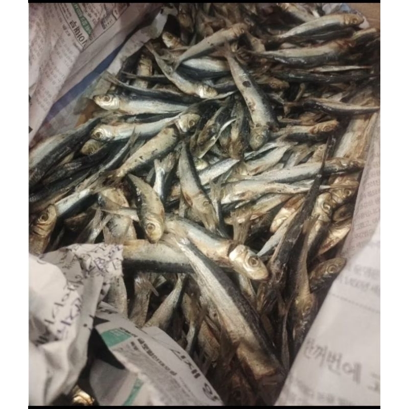 Bulad Kasig/ Hawl hawl Tuyo | Shopee Philippines