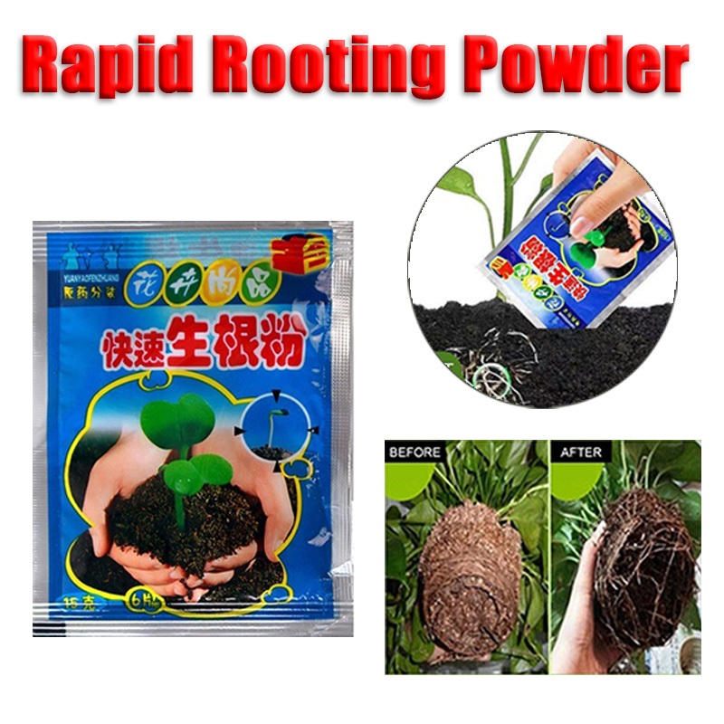 Plant Rapid Rooting Powder Medicinal Hormone Regulators Root Seedling ...