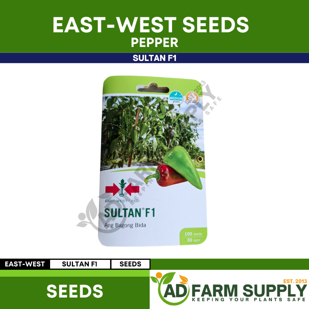 East-West Seeds - Sultan F1 / Hybrid Sweet Pepper - Packets | Shopee ...