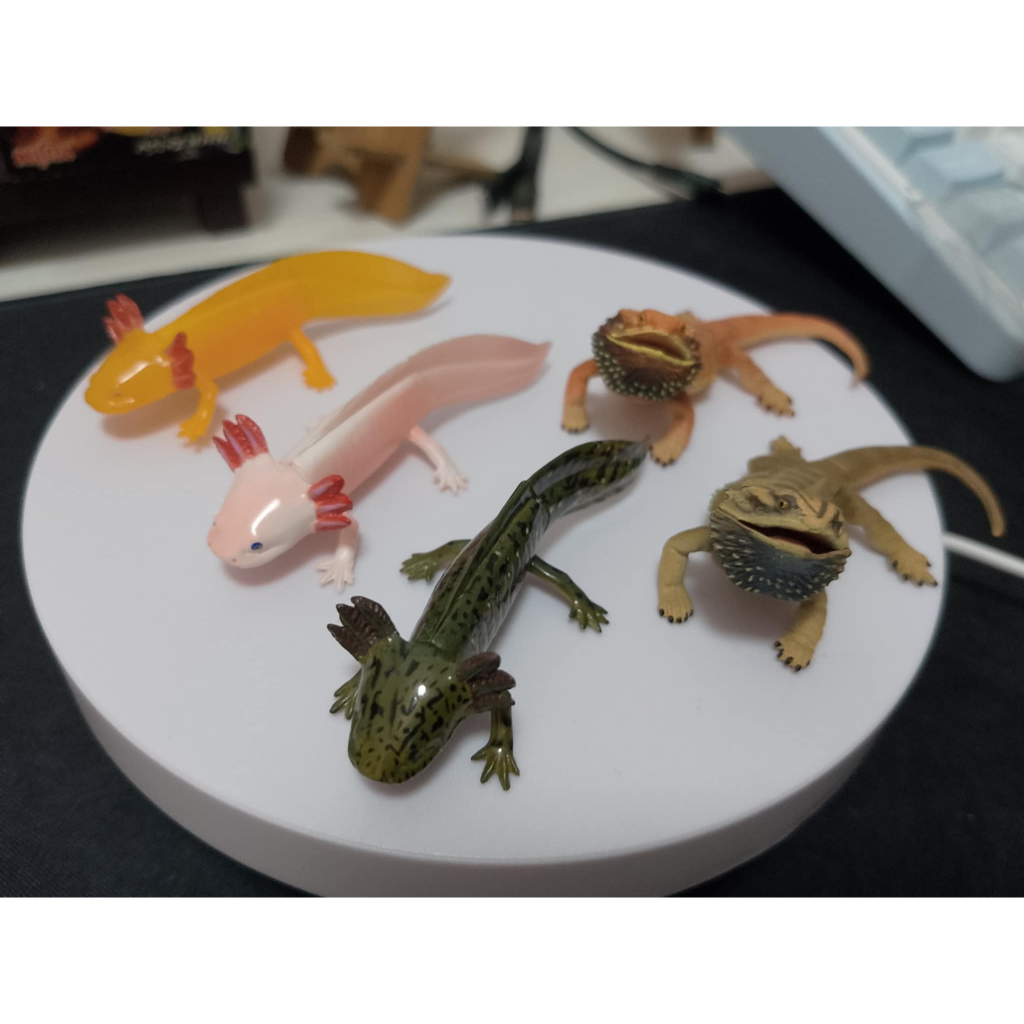 Reptile mini figurines set | Shopee Philippines