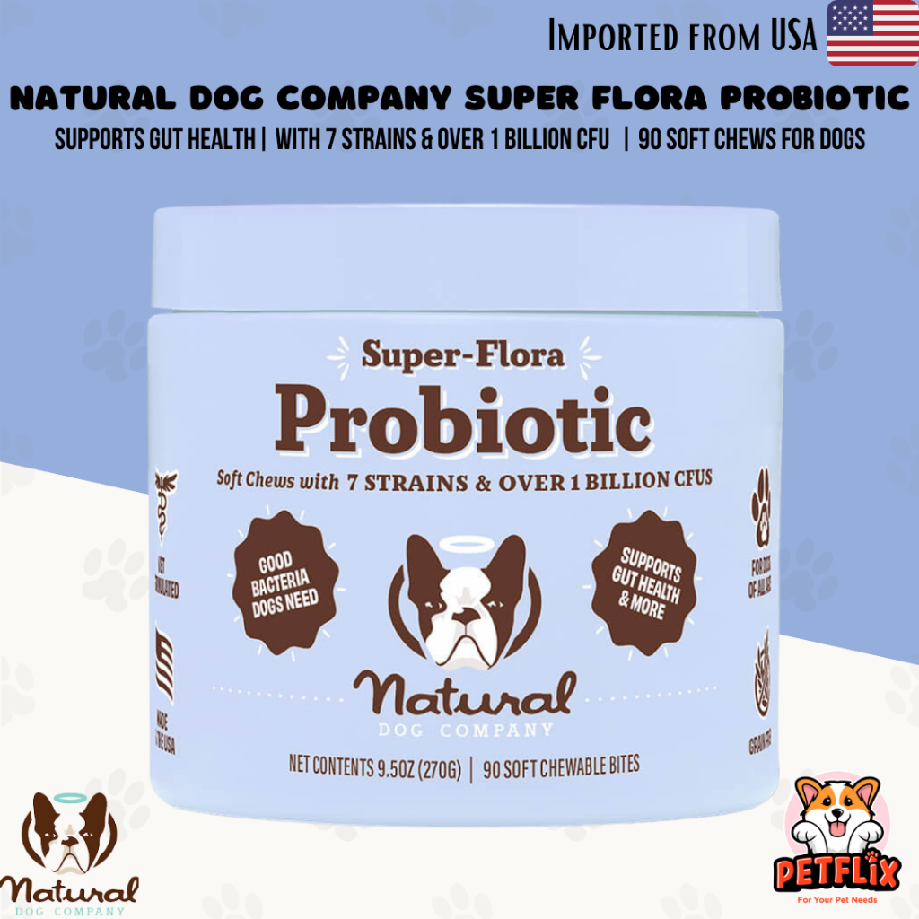 NDC Super-Flora Probiotic Supplement Helps with Digestion & Gut Health ...