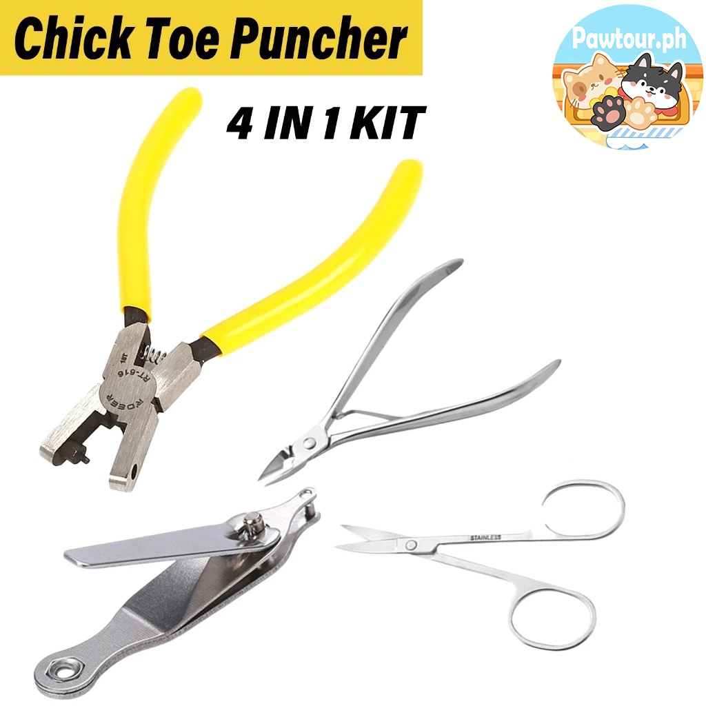 4 in 1 Gamefowl Kit Chicks Toe Puncher Chicken Rooster Nose Marker ...